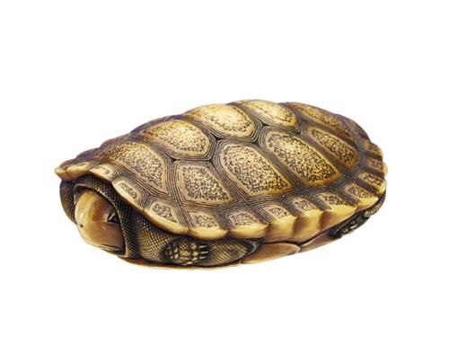 RETRACTED TURTLE by Kaigyokusai Masatsugu (attributed To) artist at ...