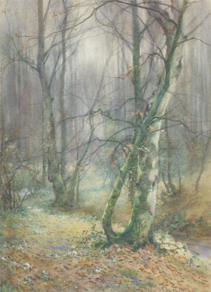 The birch wood by Thomas Tayler Ireland artist at Woolley and Wallis ...